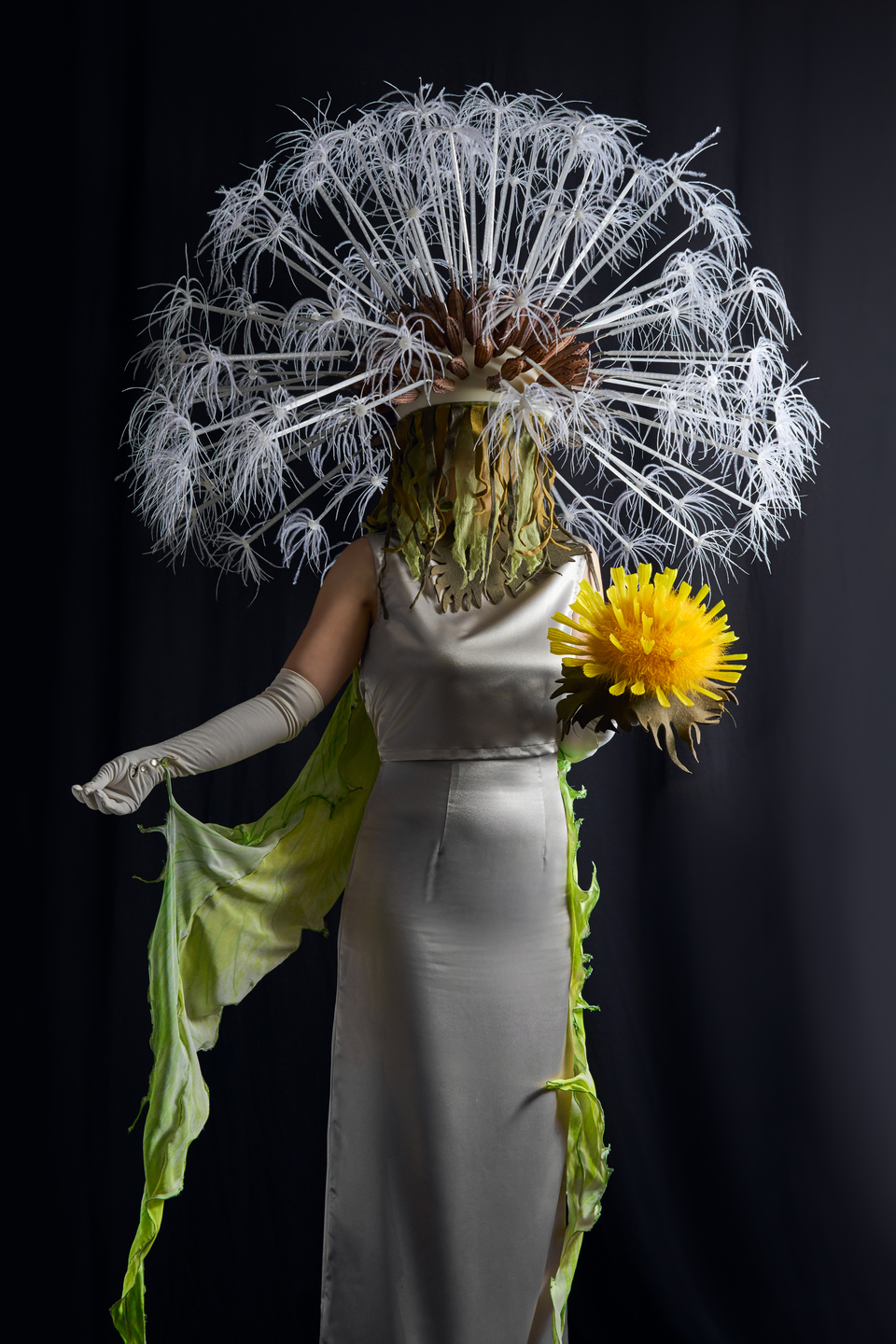 Collaboration – Donna Mason Sweigart